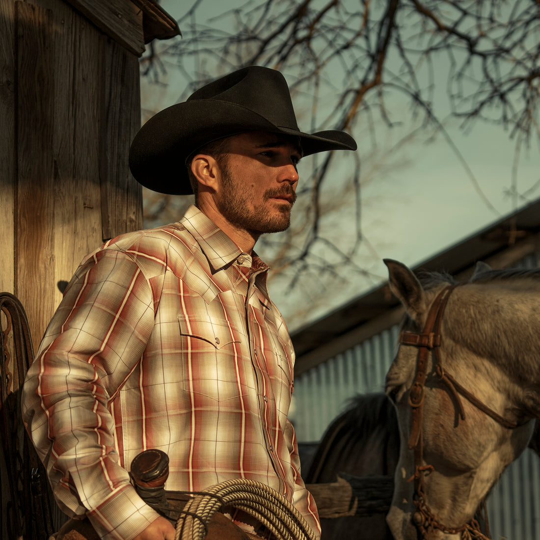 El Amo 500X Premier Cowboy Hat | Stetson